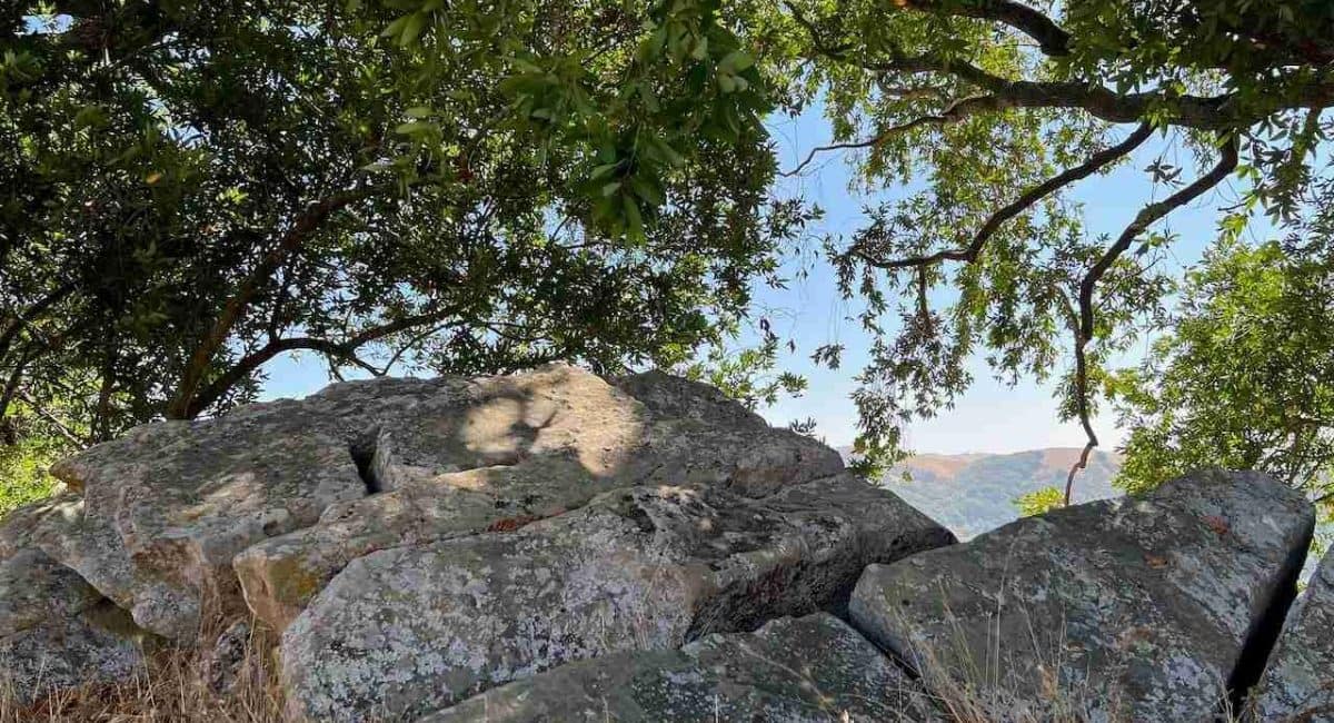 64 & 65. Tolman Peak and Gossip Rock, Dry Creek Pioneer Regional Park ...
