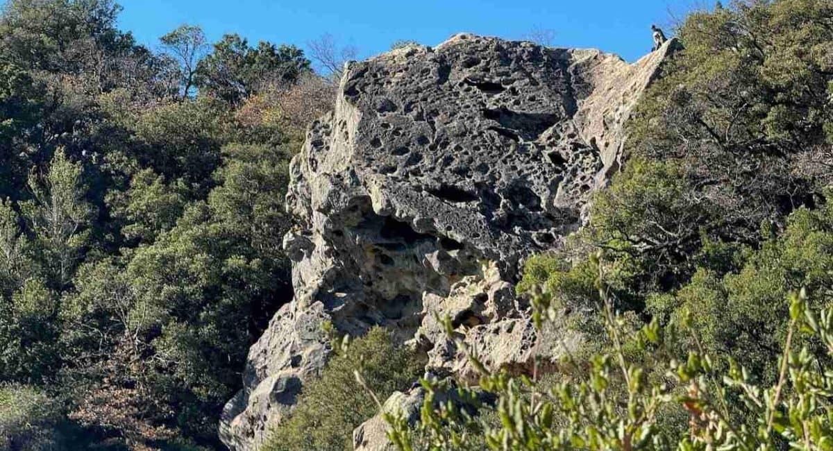 73. Goat Rock, Castle Rock State Park | Intrepid Rover